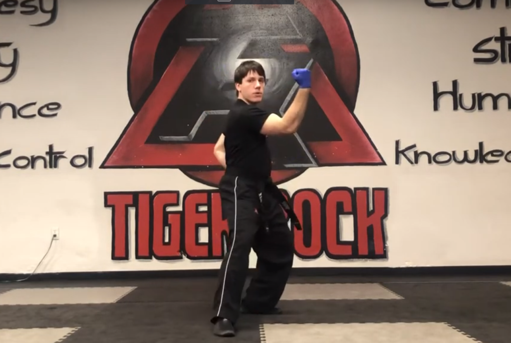 Contact – Tiger Rock Martial Arts
